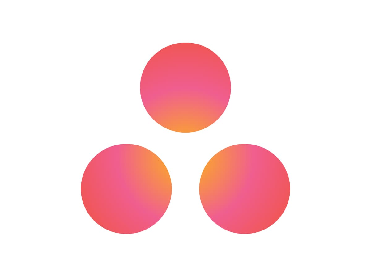 Asana Project Management Software - Web Code Stack